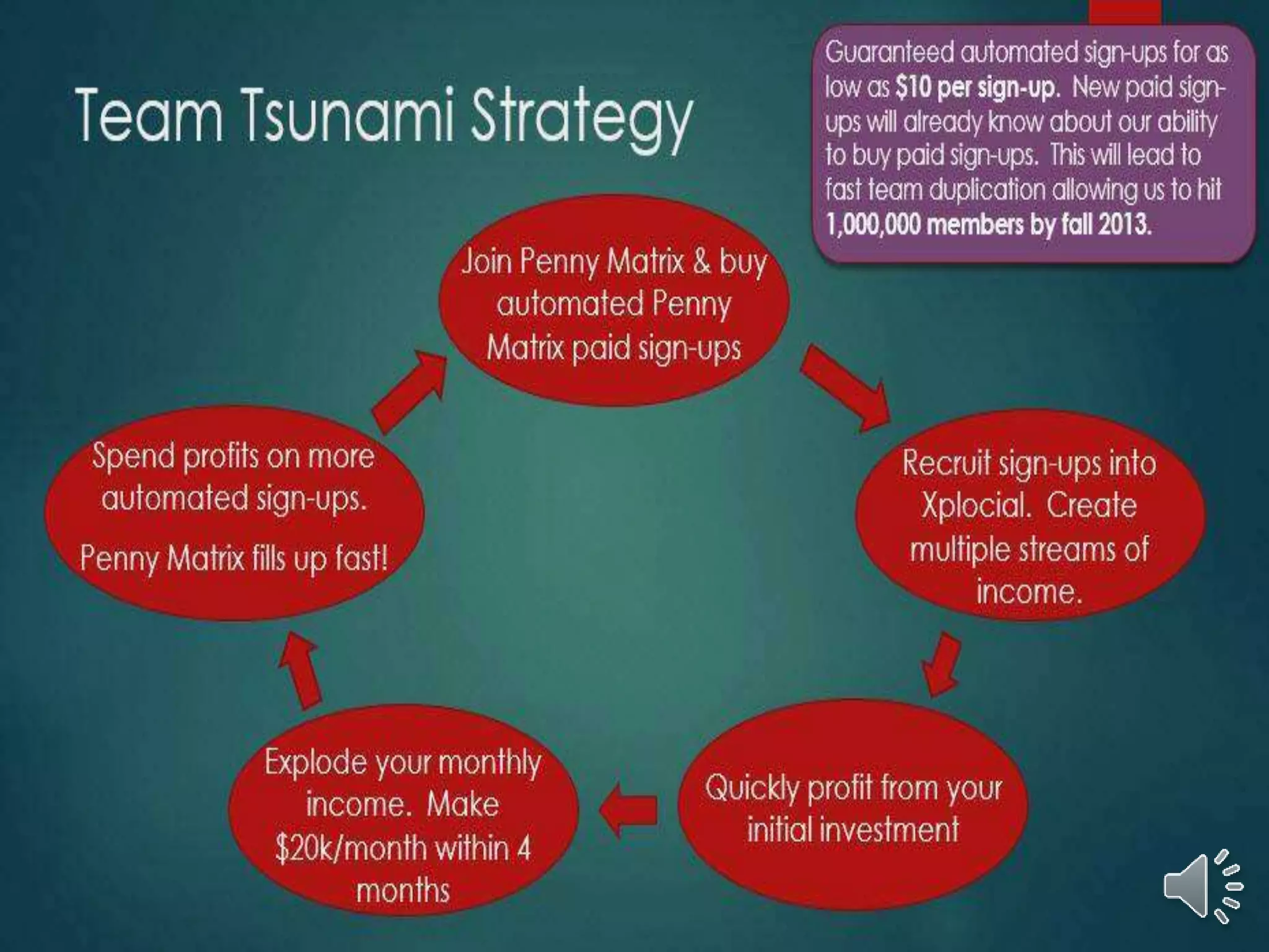 Why Team tsunami worldwide? Why Penny Matrix | PPT