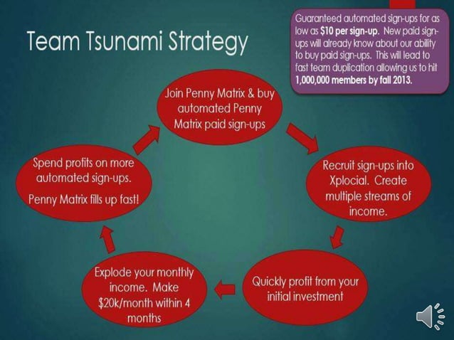 Why Team tsunami worldwide? Why Penny Matrix | PPTX