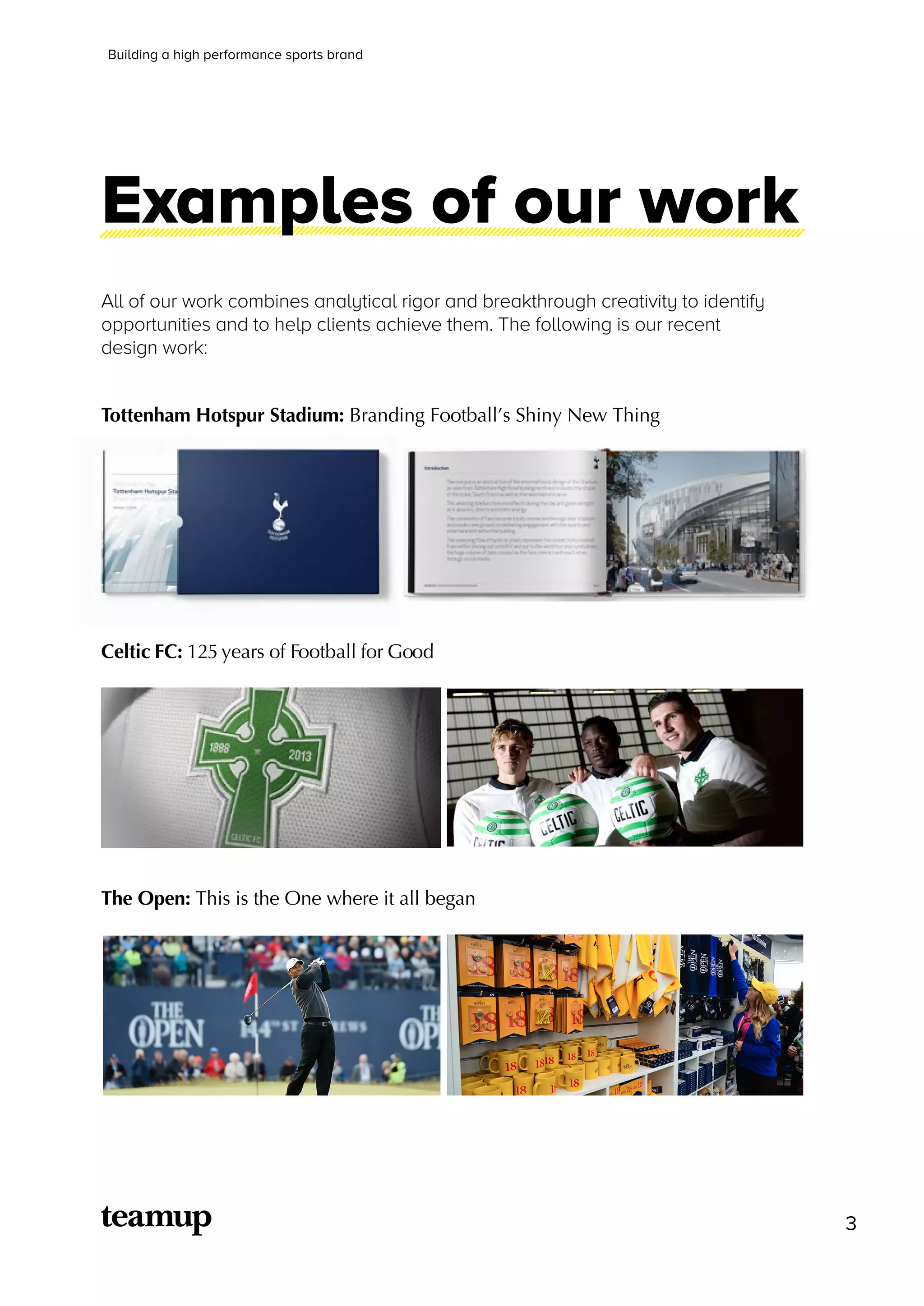 Building High Performance Brands | PDF