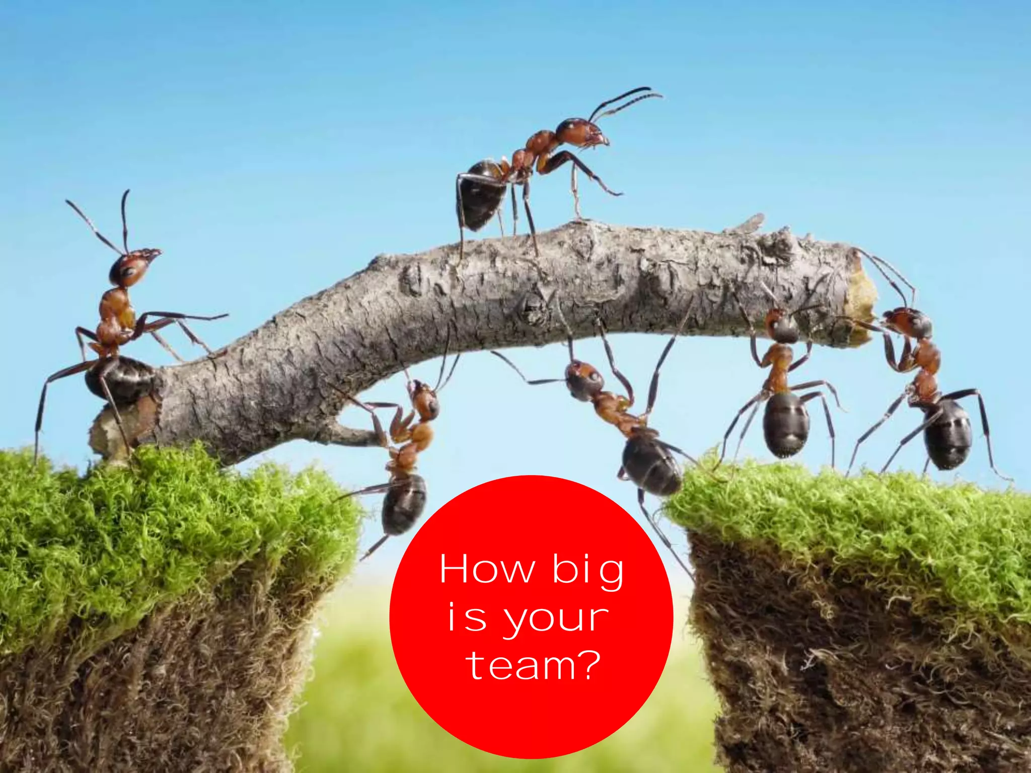 Teamwork | PDF | Business | Business and Finance