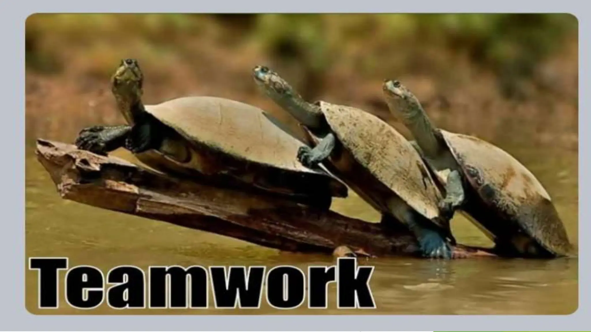 What is teamwork? Improving Productivity..pptx