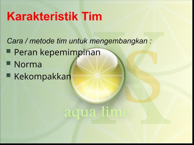 POWER POINT PRESENTASI TENTANG TEAM WORK DALAM ORGANISASI | PPTX