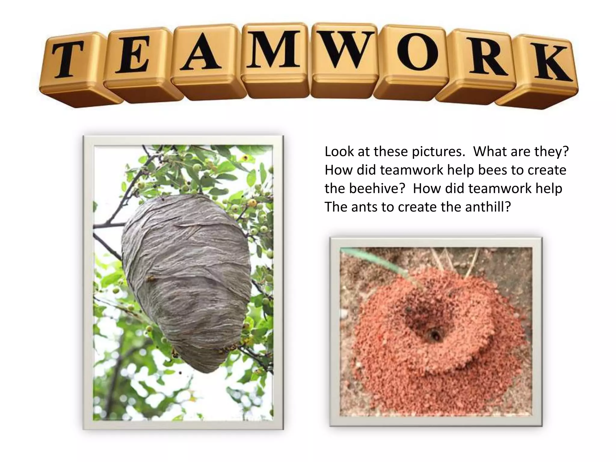 Teamwork.slideshow | PPT