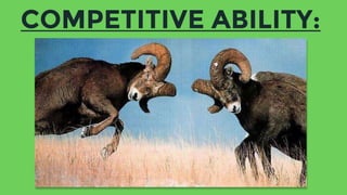 Team Work & Competitive Spirit | PPTX