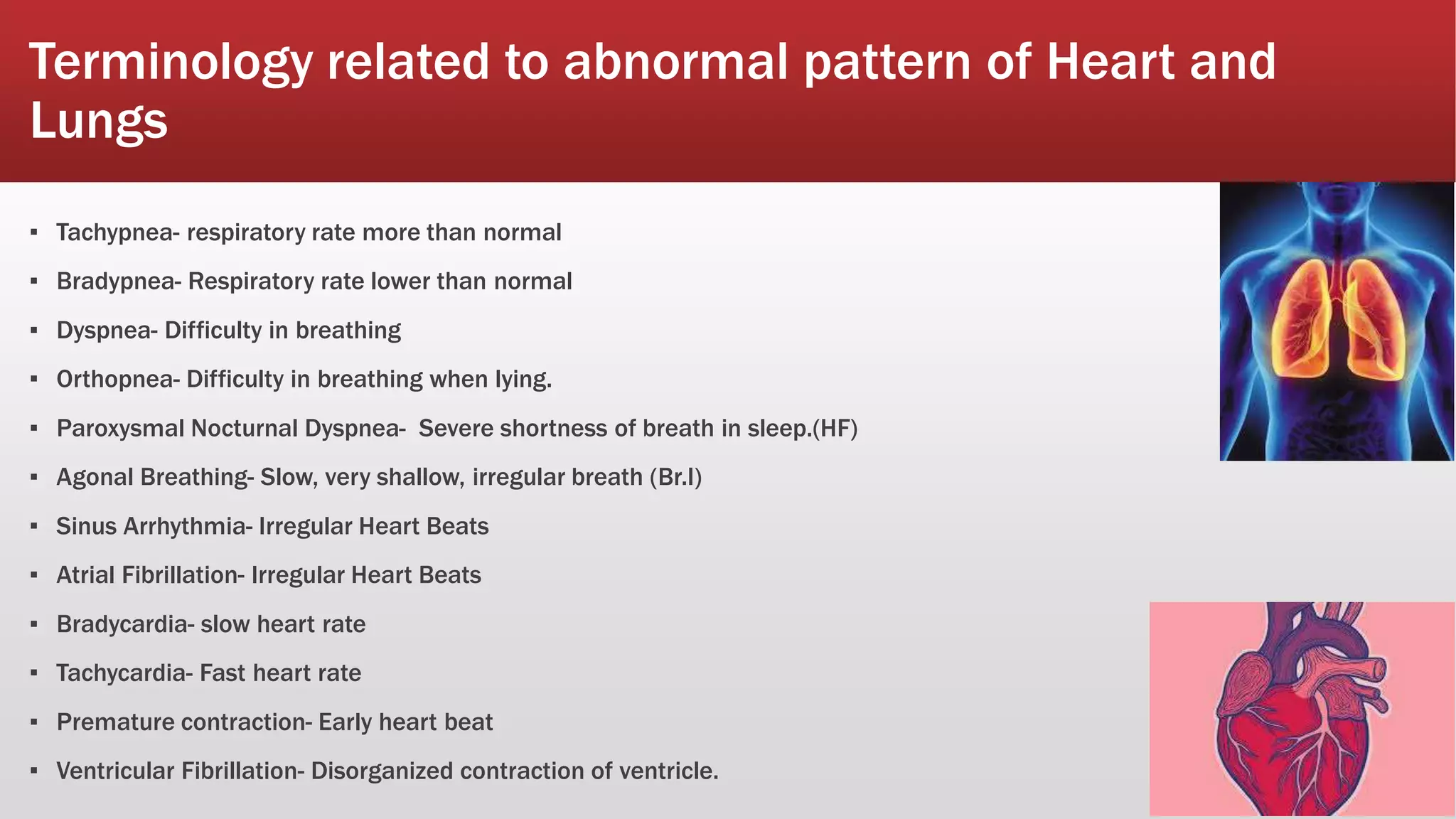 research cardiorespiratory system | PPT
