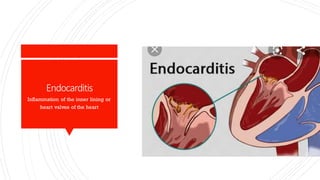 research cardiorespiratory system | PDF | Heart and Cardiovascular ...
