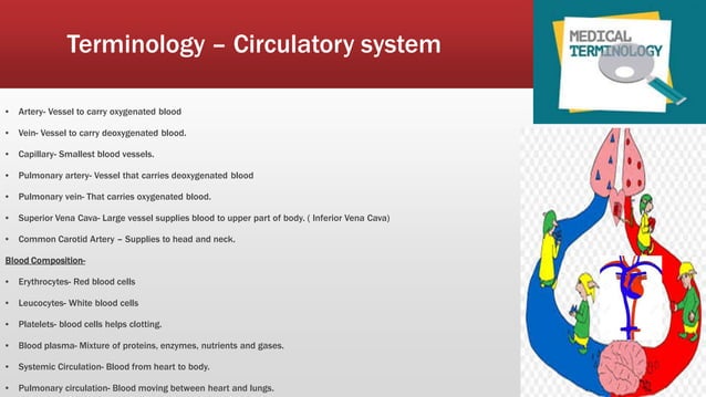 research cardiorespiratory system | PPT