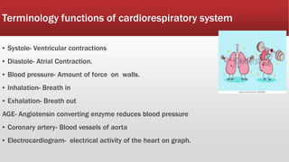 research cardiorespiratory system | PDF | Heart and Cardiovascular ...