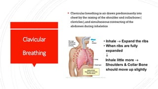 research cardiorespiratory system | PDF