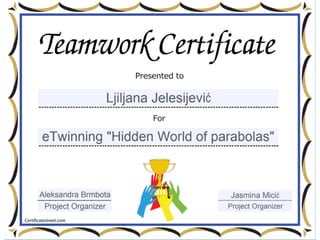 Teamwork certificate | PDF