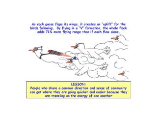 Teamwork Geese | PPS | Birds | Pets