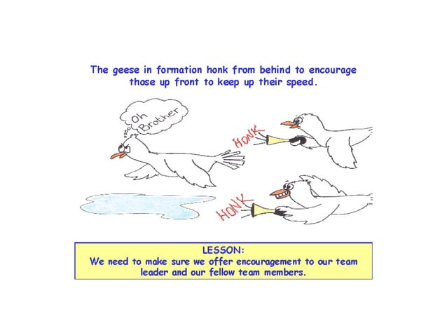 Teamwork Geese | PPS | Birds | Pets