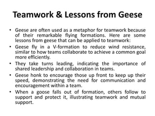 Teamwork & Motivation.pptx