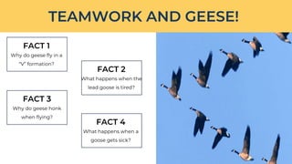 Teamwork_Presentation_PCS_TEAM8 [1].pptx