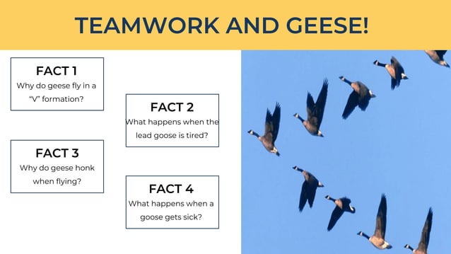 Teamwork_Presentation_PCS_TEAM8 [1].pptx