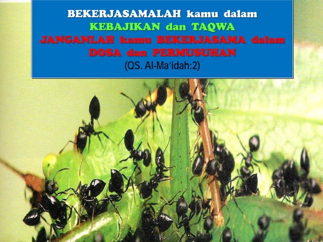 Pelatihan Membangun Teamwork | PDF