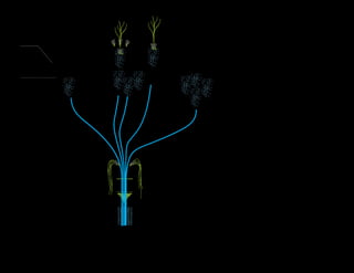 Teamyeah Finalpresentation | PDF