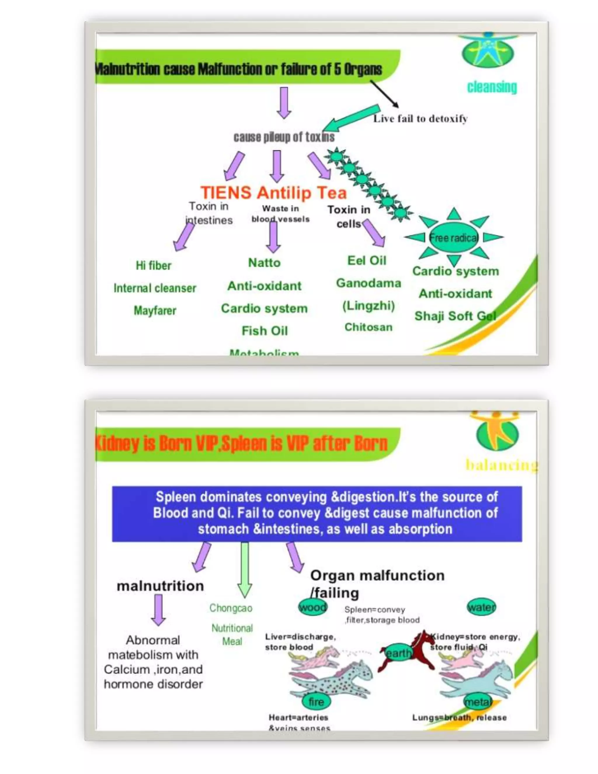 Teanc product ppt | DOCX