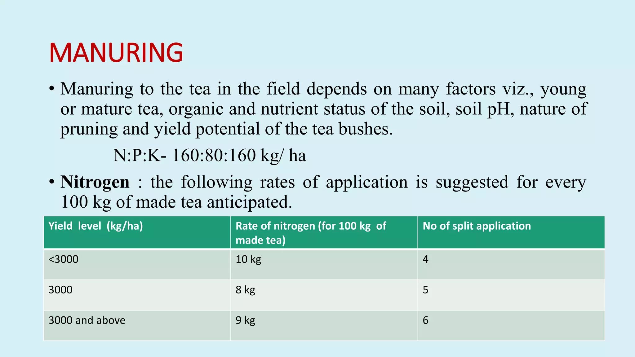 Tea production technology | PPTX