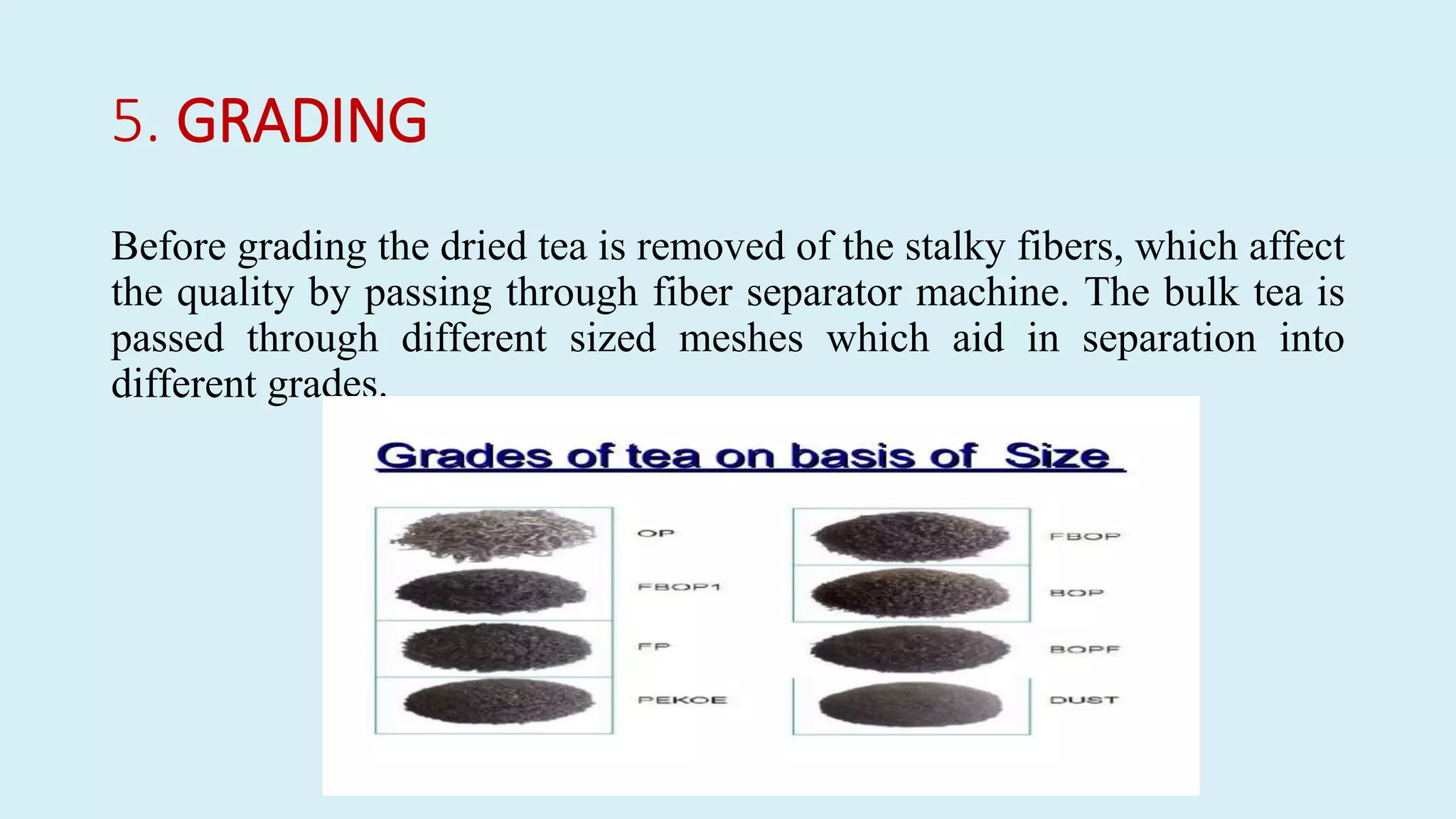 Tea production technology | PPTX