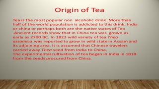 T.STERLIN production Technology of tea presentation .pptx