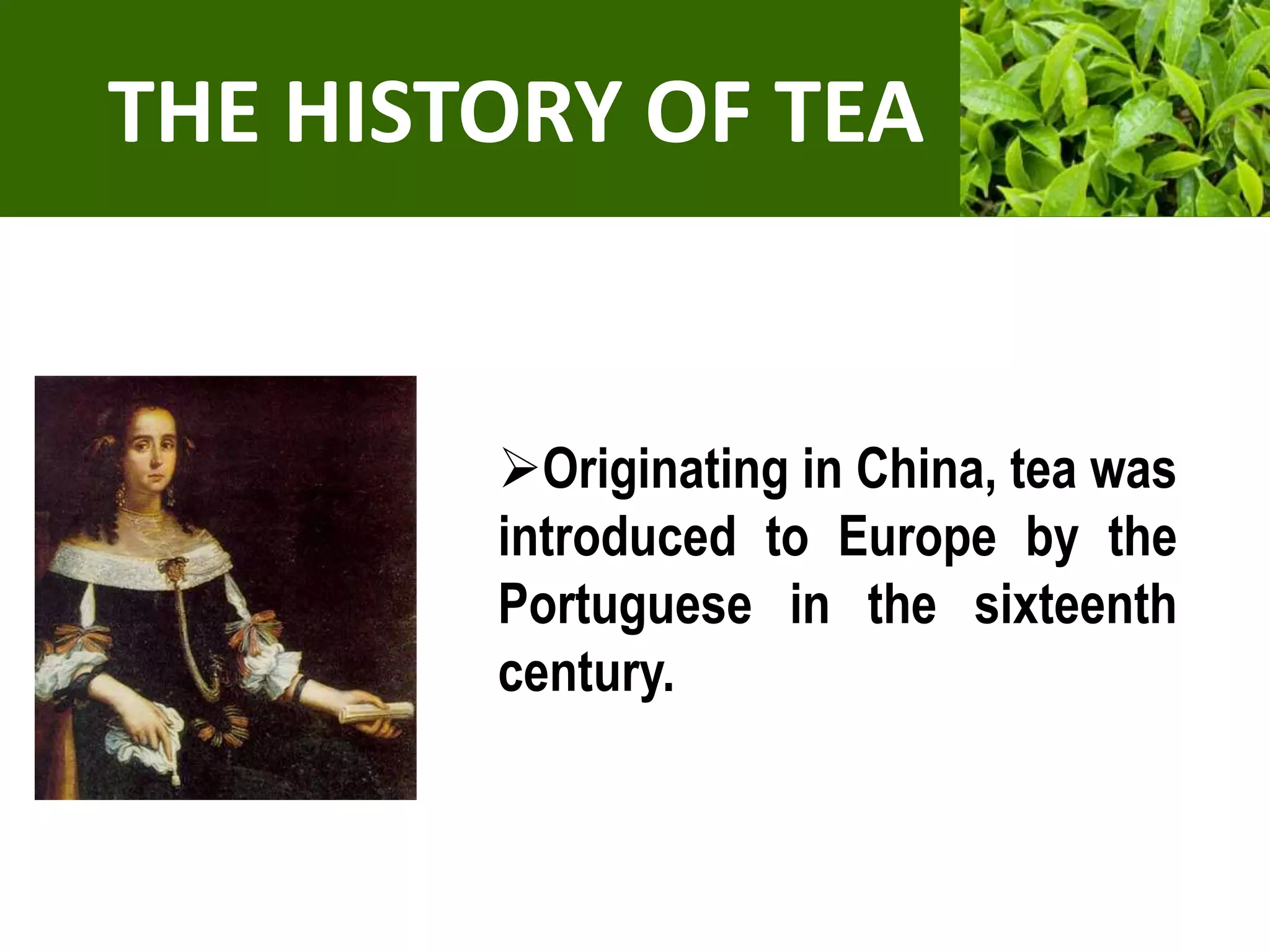 Tea presentation | PPTX