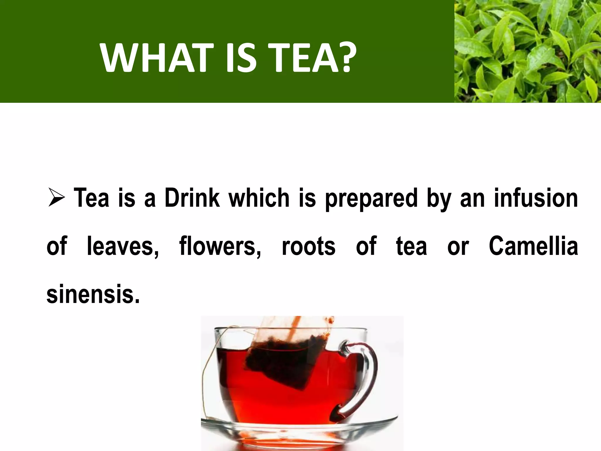 Tea presentation | PPTX