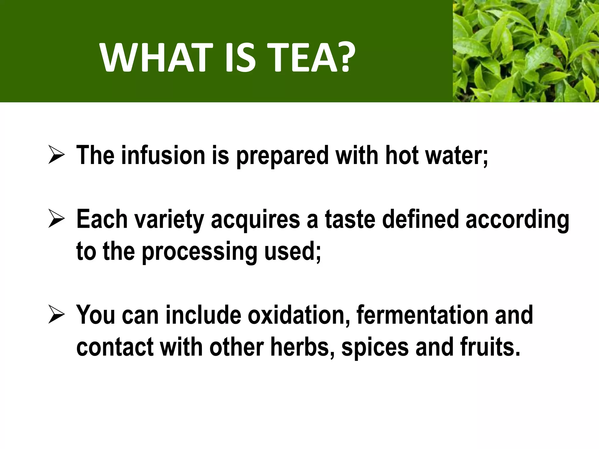 Tea presentation | PPTX