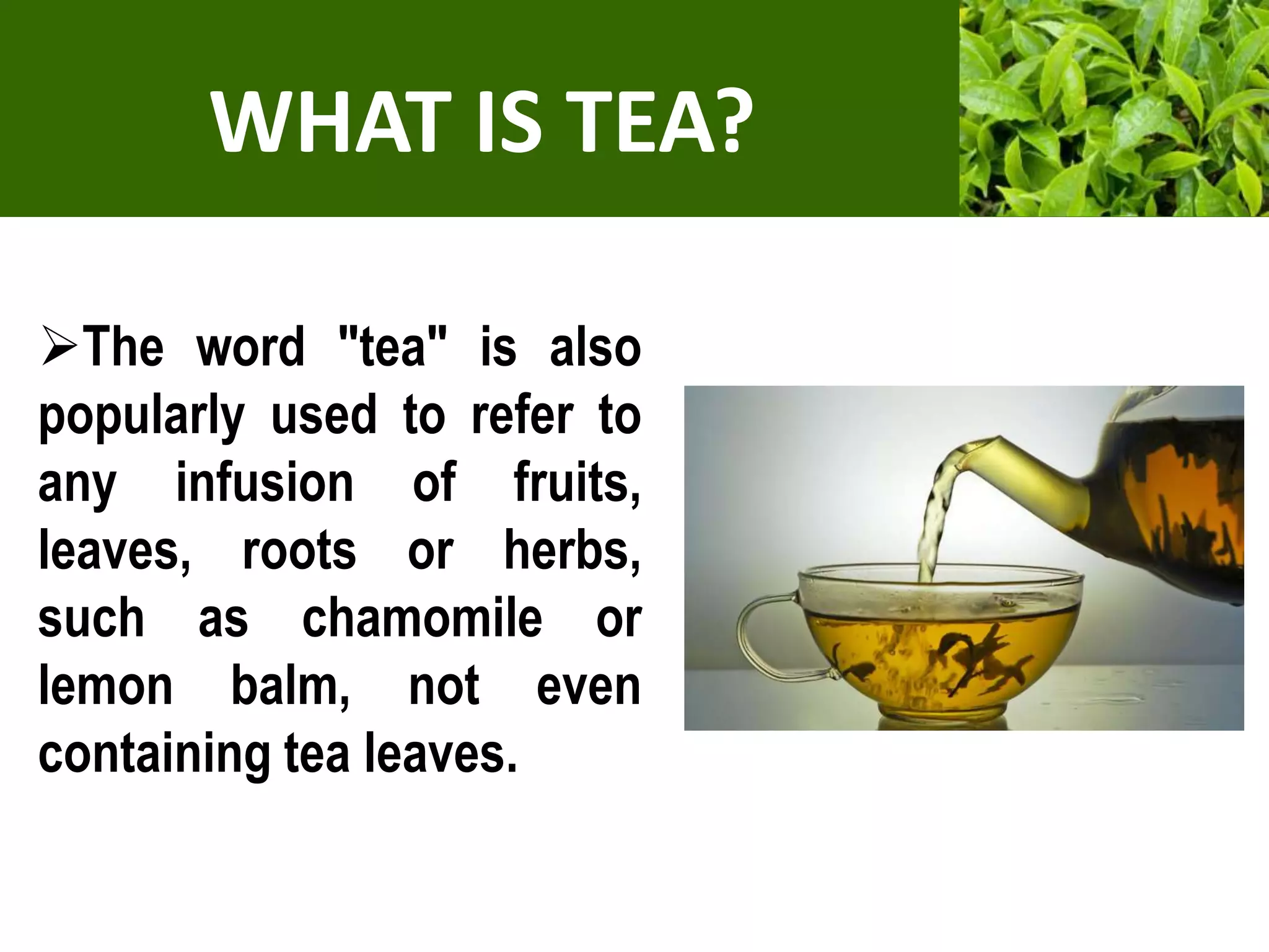 Tea presentation | PPTX