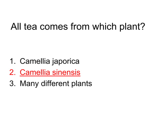 Increase Your Tea Knowledge | PPTX