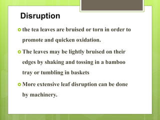 Tea processing | PPTX