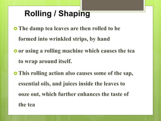Tea processing | PPTX