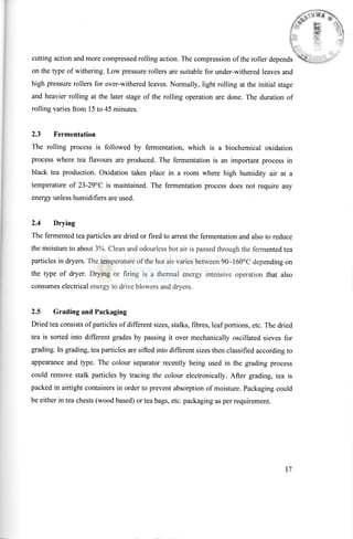 Tea processing. steps in tea processing . | PDF