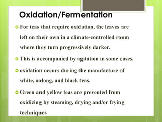 Tea processing by abdul nasir | PPTX