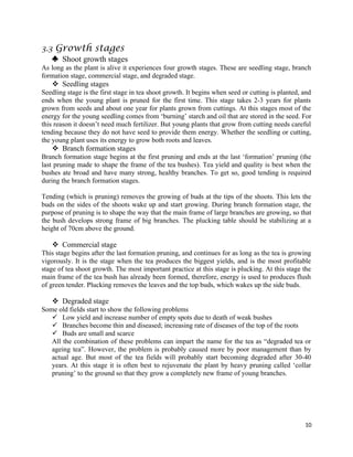 Tea production and processing handout.docx | Free Download