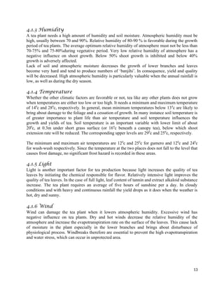 Tea production and processing handout.docx | Free Download