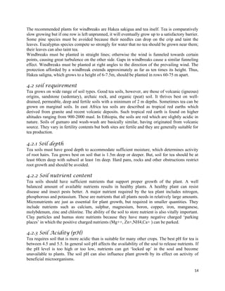 Tea production and processing handout.docx | Free Download