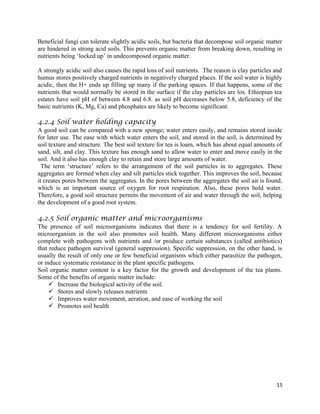 Tea production and processing handout.docx | Free Download