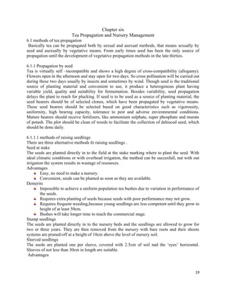 Tea production and processing handout.docx | Free Download