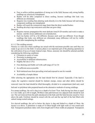 Tea production and processing handout.docx | Free Download