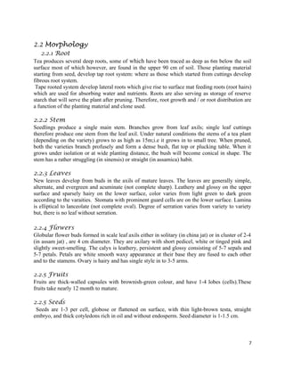 Tea production and processing handout.docx | Free Download