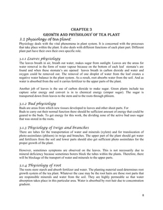 Tea production and processing handout.docx | Free Download