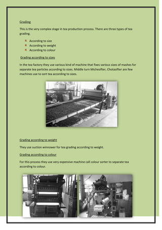 Tea production process | PDF