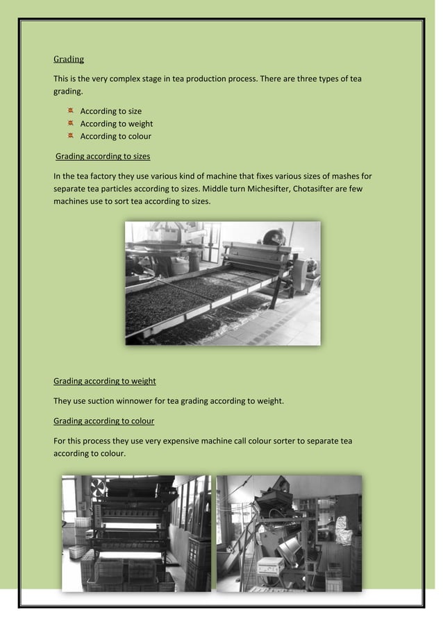 Tea production process | PDF | Asia Travel | Travel Locations