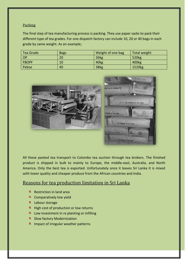 Tea production process | PDF | Asia Travel | Travel Locations