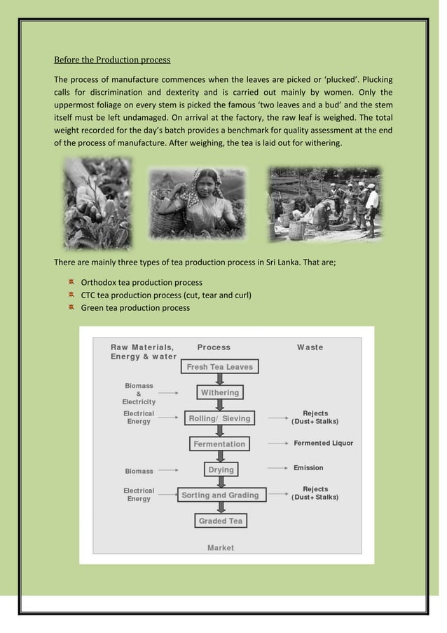 Tea production process | PDF | Asia Travel | Travel Locations