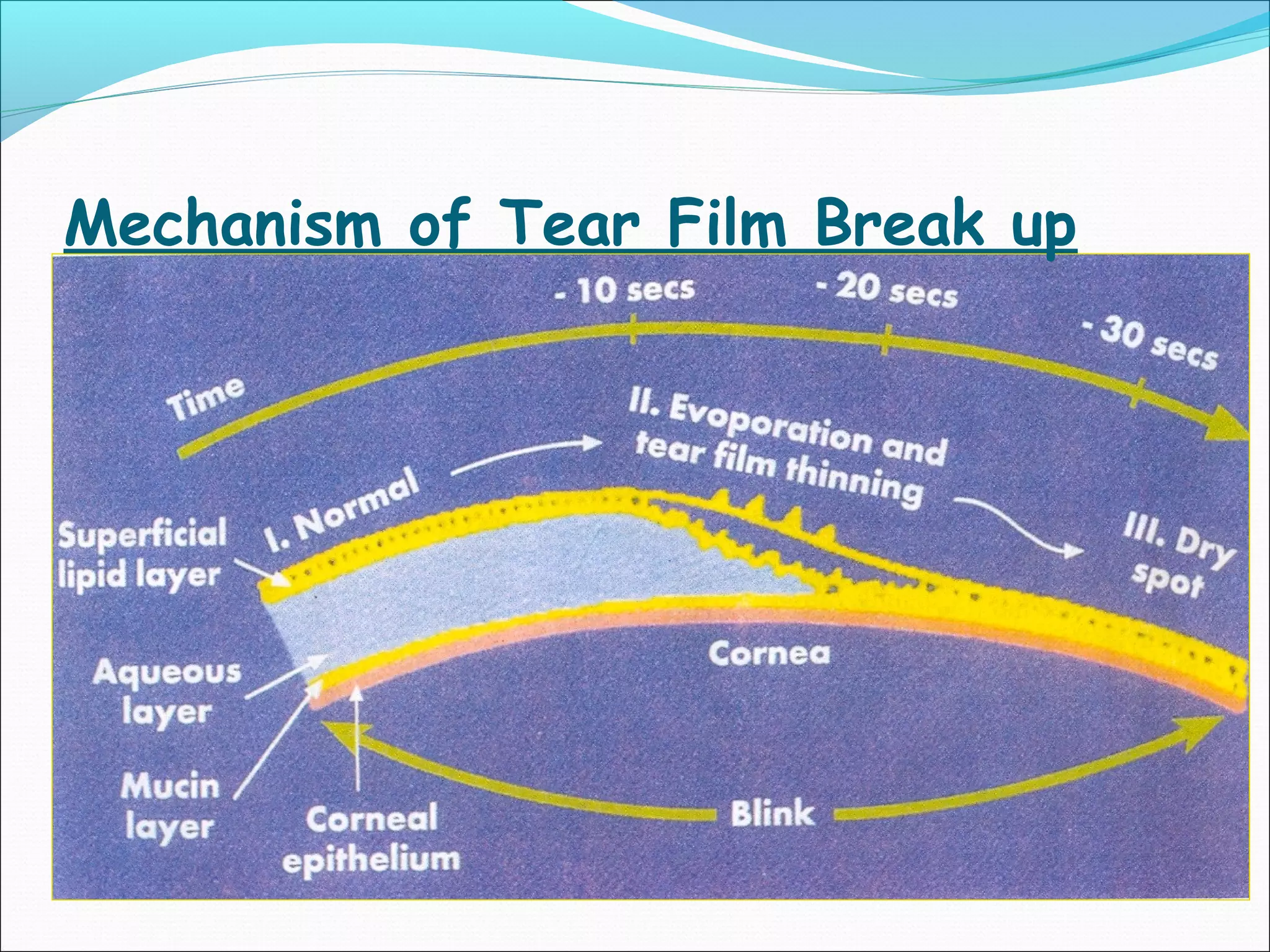 Tear film | PPT
