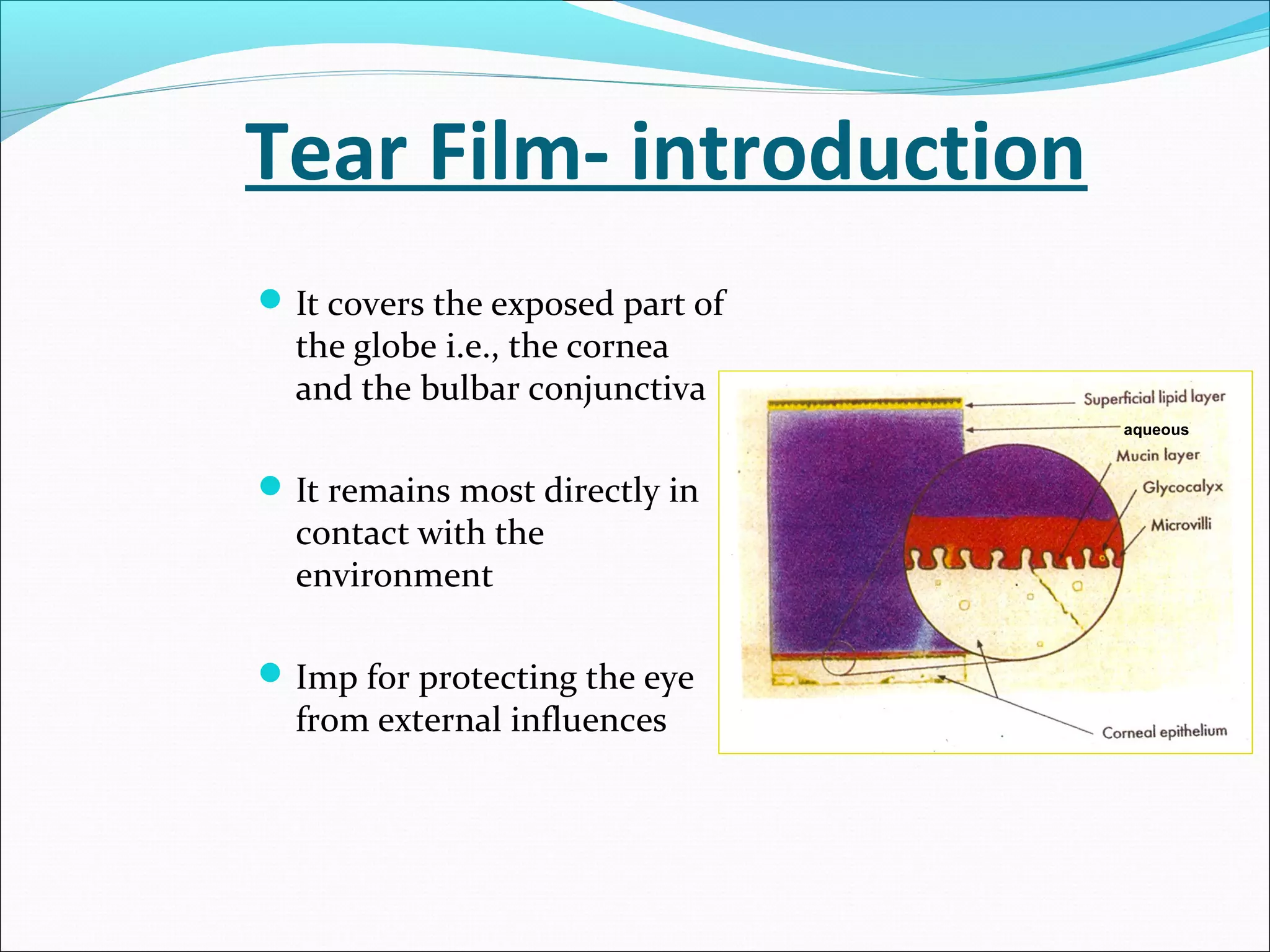 Tear film | PPT