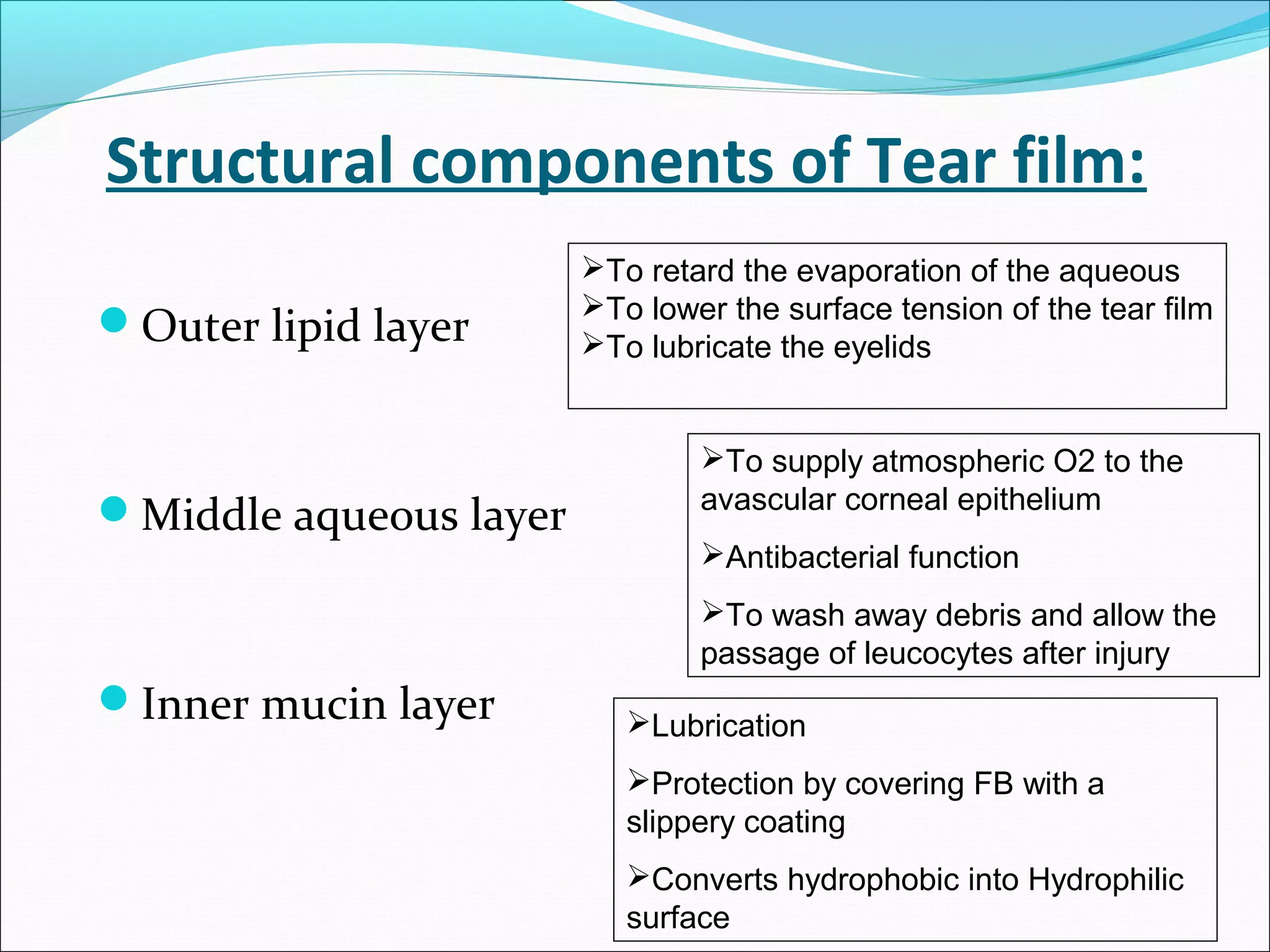Tear film | PPT