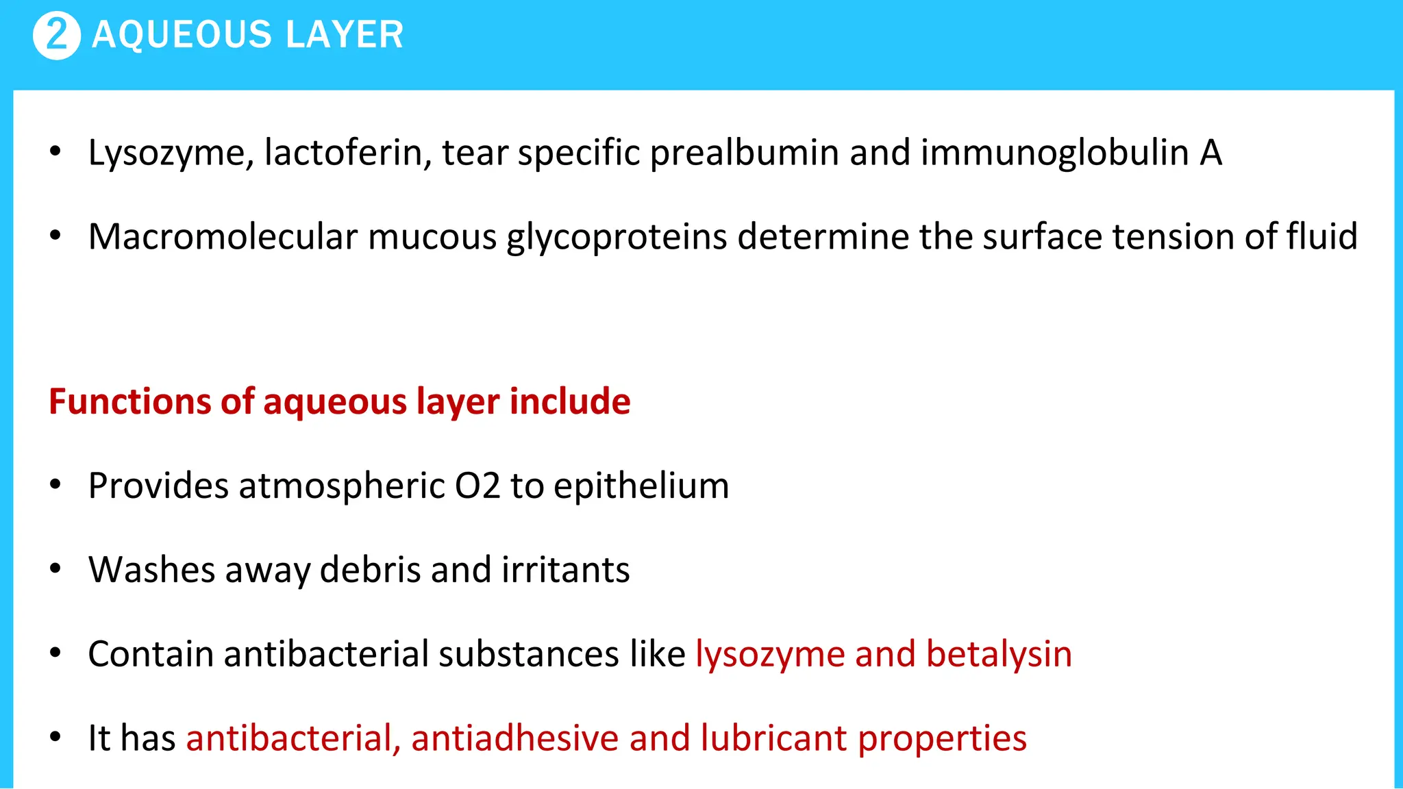 tearfilmdynamics-presentation opthalmology | PPTX